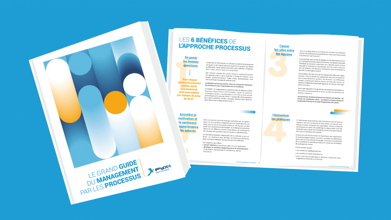 Le Grand Guide du Management par les Processus