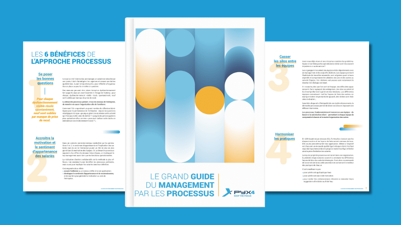 Le Grand Guide du Management par les Processus